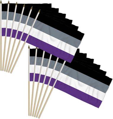 Asexual Flag 3x5 FT