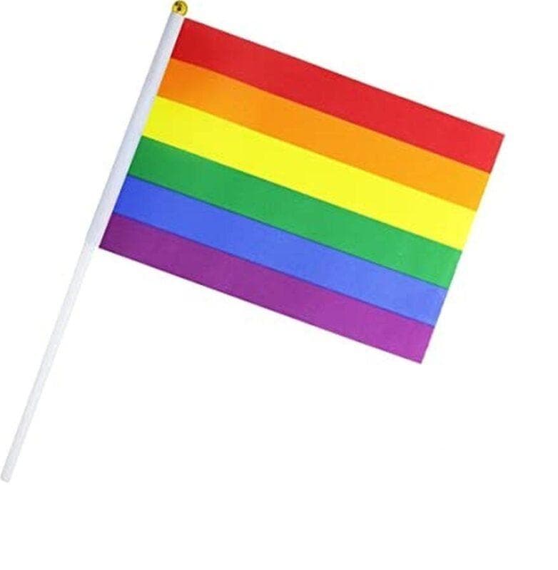 Rainbow Pride Stick Flag 4x6 In